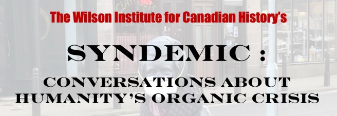 What is Syndemic? – Au delà des frontières : La nouvelle histoire du ...